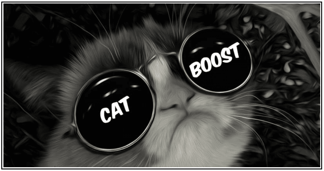 CatBoost: The Fastest Algorithm!